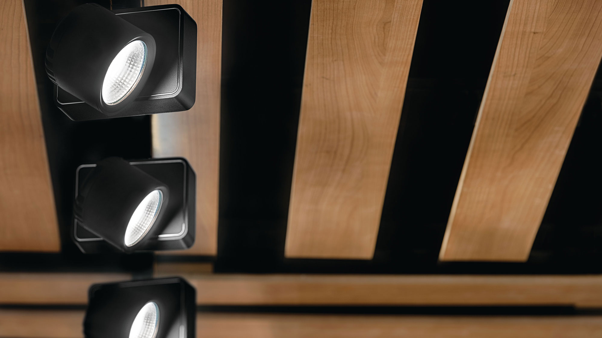 ZEN - Fourth Dimension Lighting